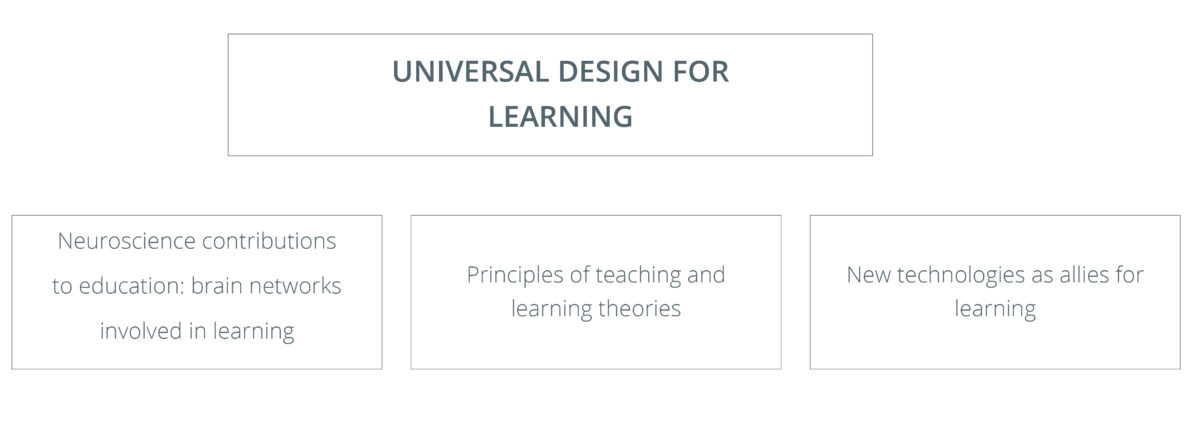 The Universal Design for Learning (UDL) | Actualitat Educativa