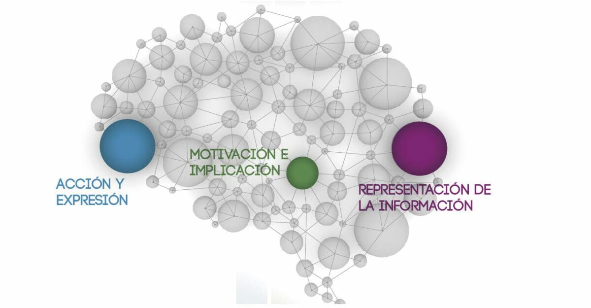 El Diseño Universal para el aprendizaje, un modelo didáctico desde una ...